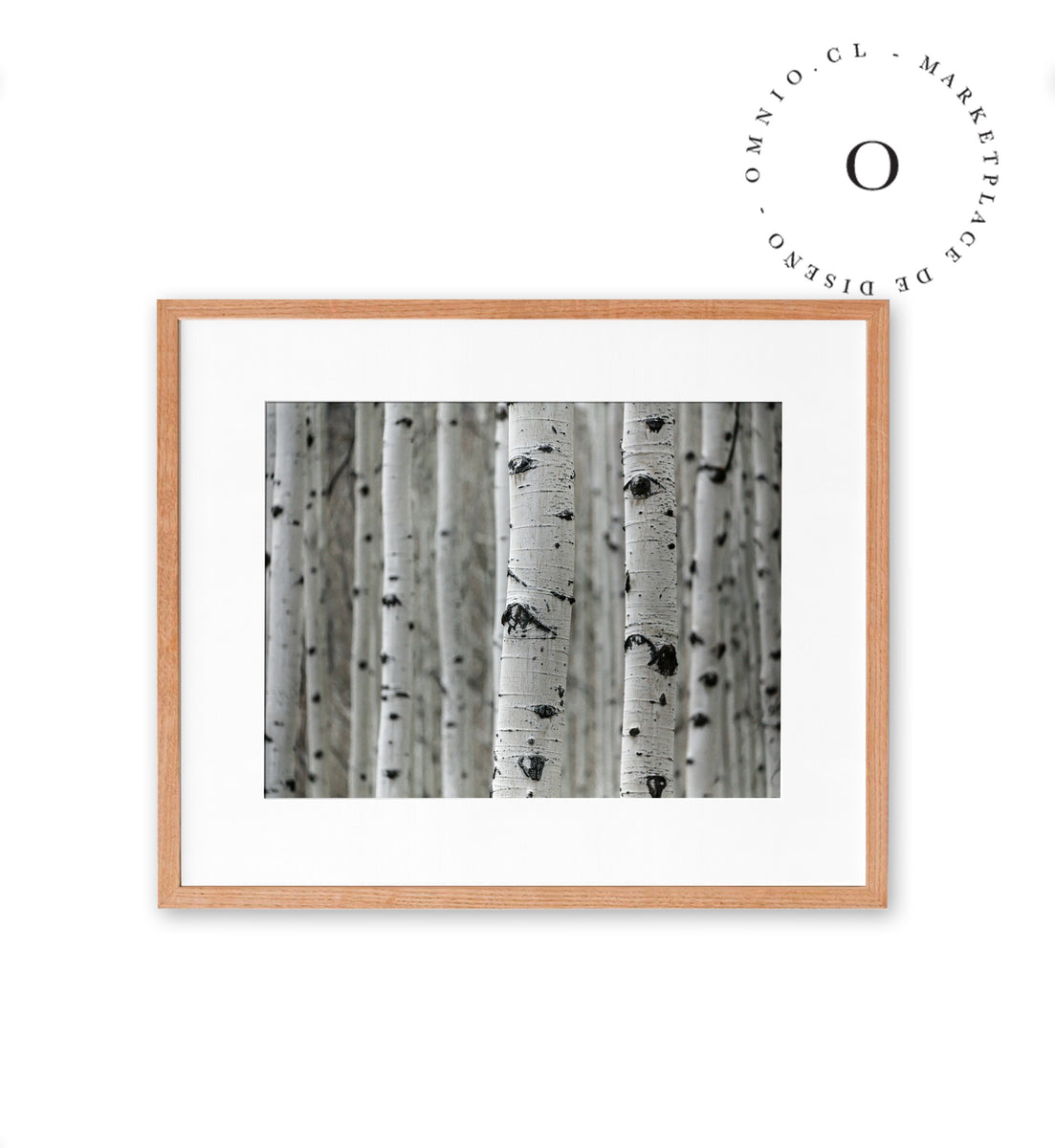 Forest Lámina – OMNIO